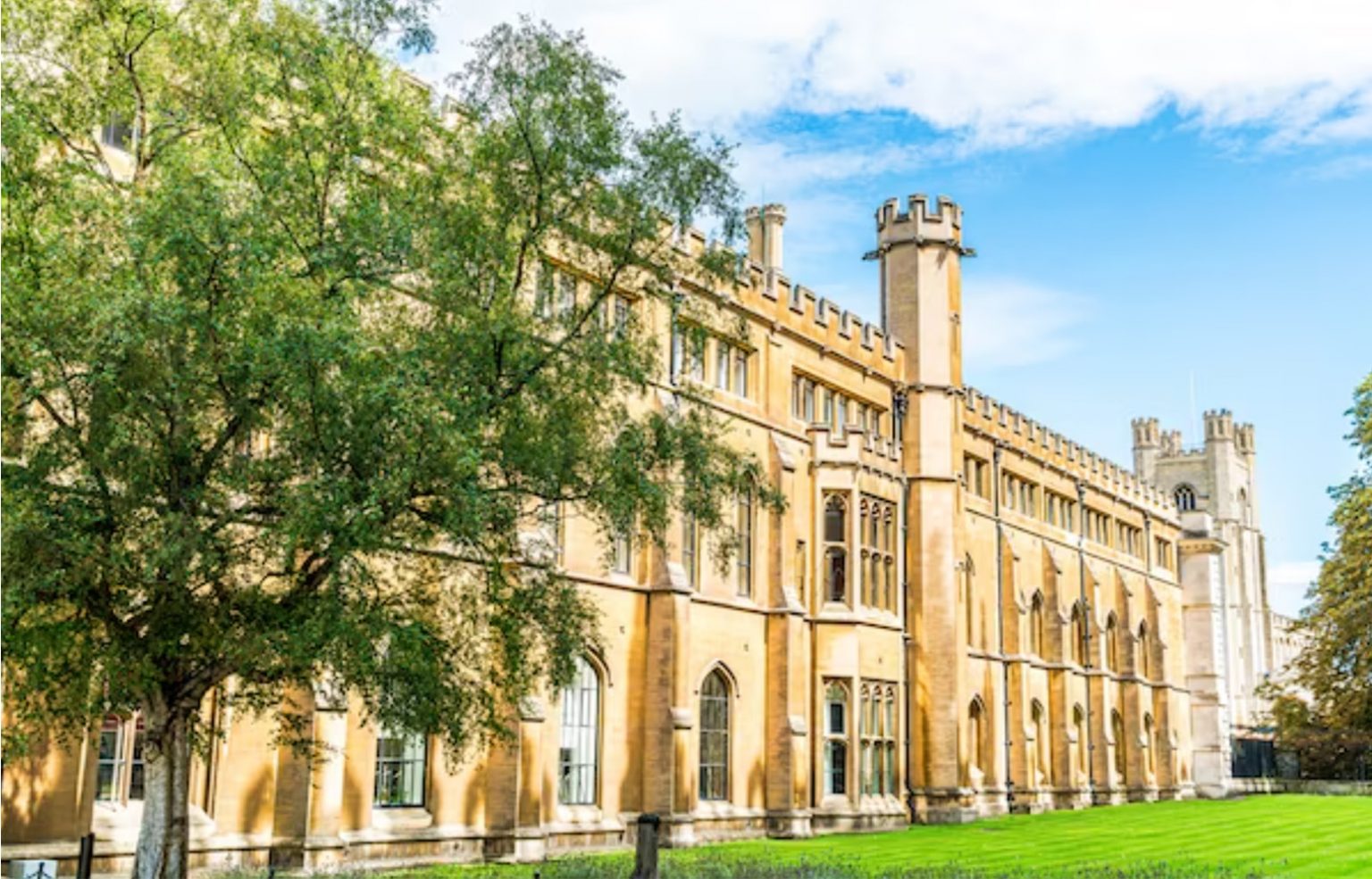 EXAMANES DE INGLÉS DE CAMBRIDGE | NARAU SCHOOL